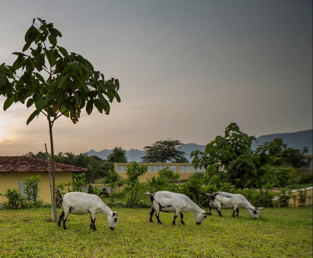 Luxury resorts with private pool in Coimbatore | Dvara - Siruvani